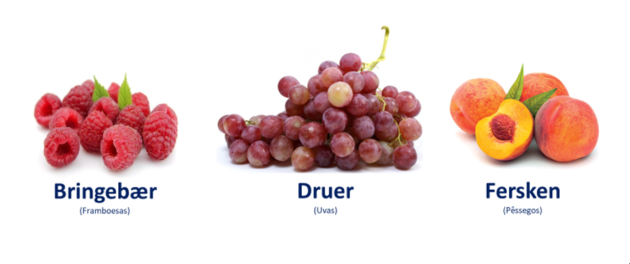 Aula 14: Curso de Norueguês – Vocabulário – Comida - eladani Blog